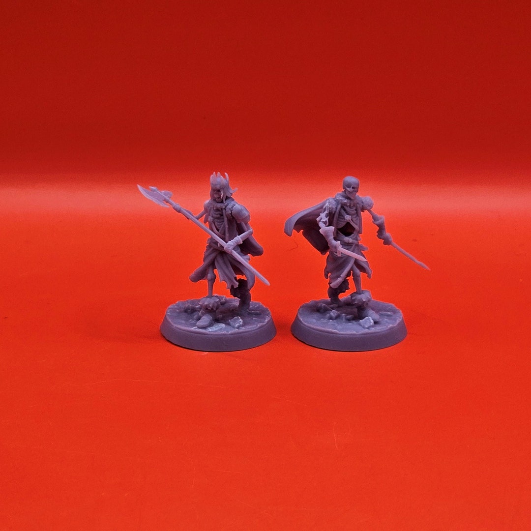 Skeleton Lord & Guard - Etsy
