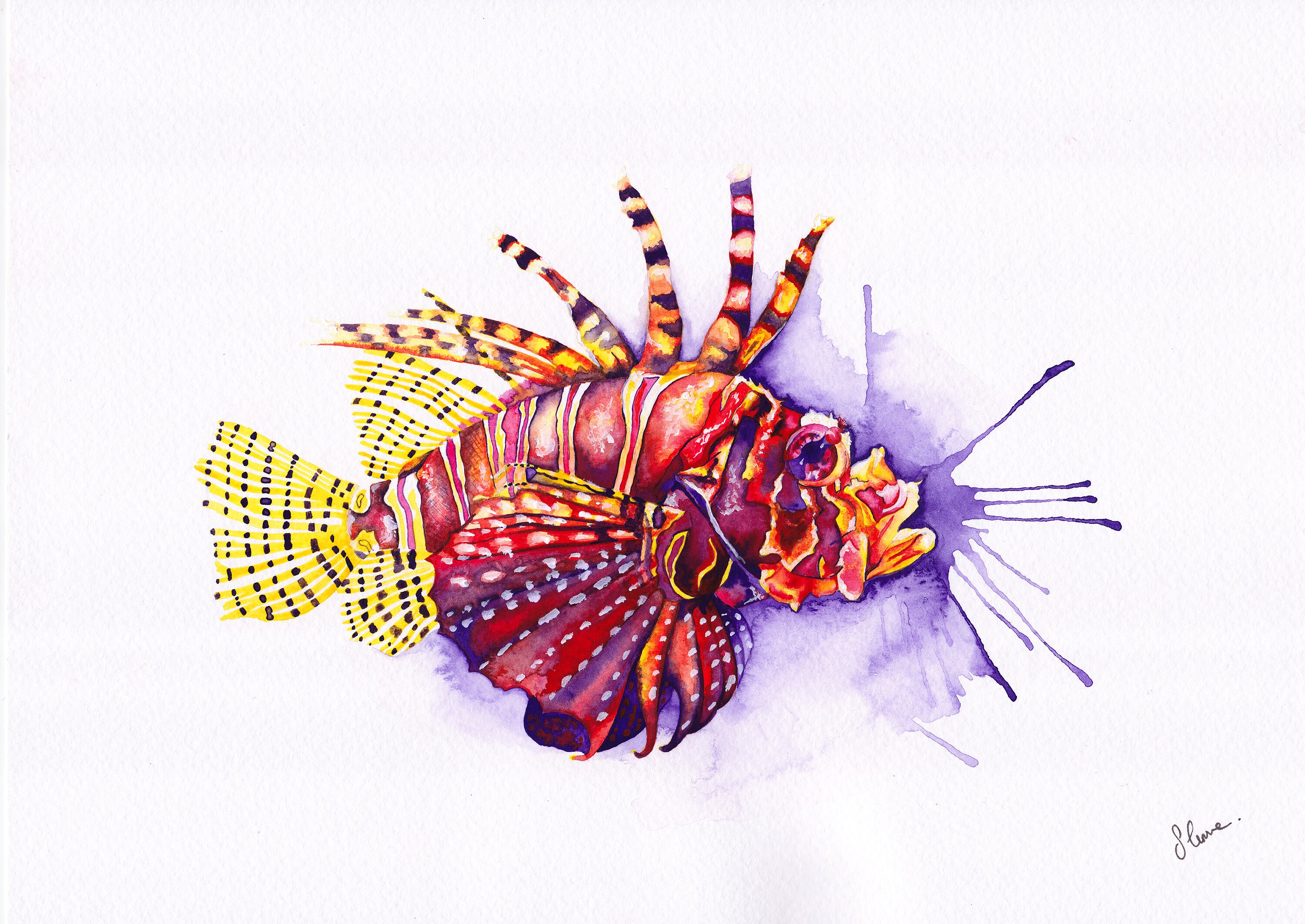 Lionfish A3 Mounted Print - Etsy Norway