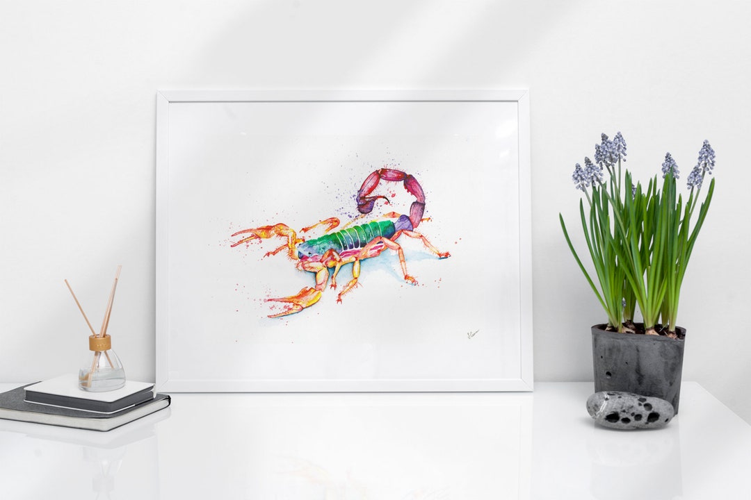 Scorpion (A4 Mounted Print) - Etsy
