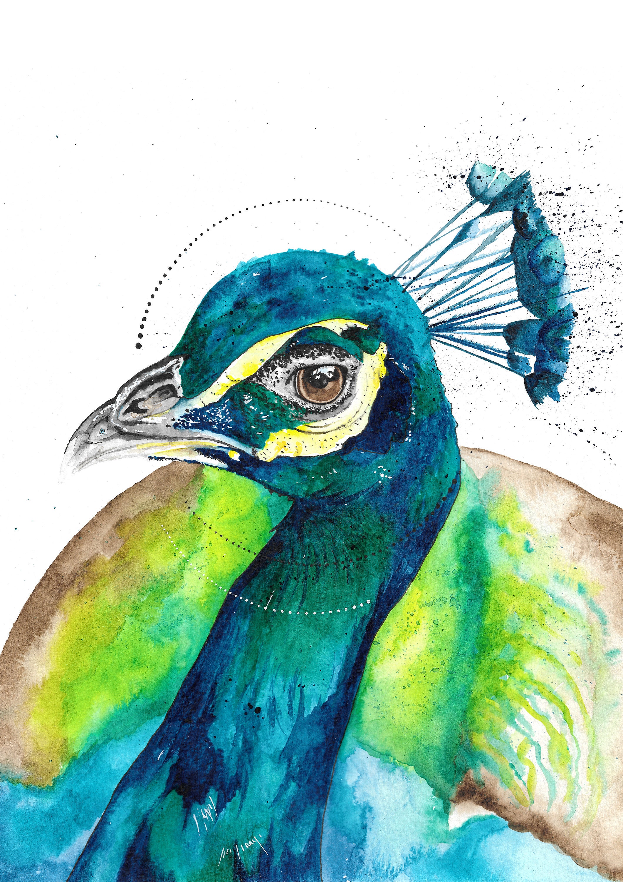 Peacock A3 Mounted Print - Etsy