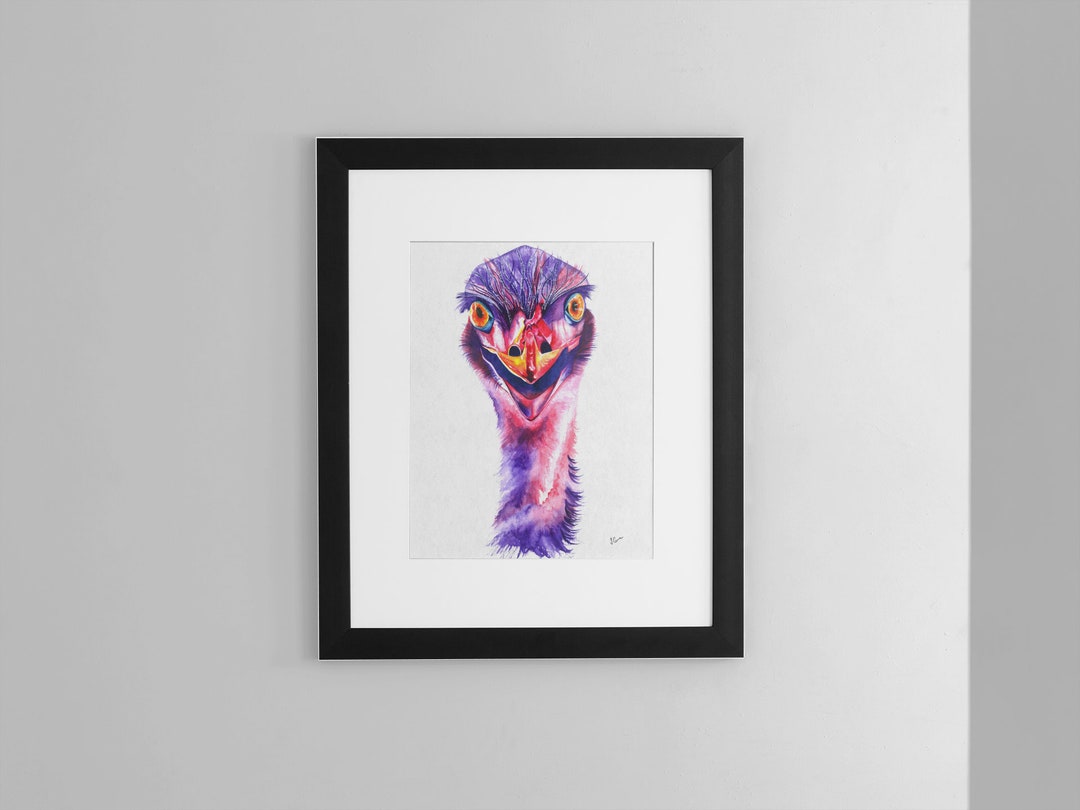 Emu A4 Mounted Print - Etsy