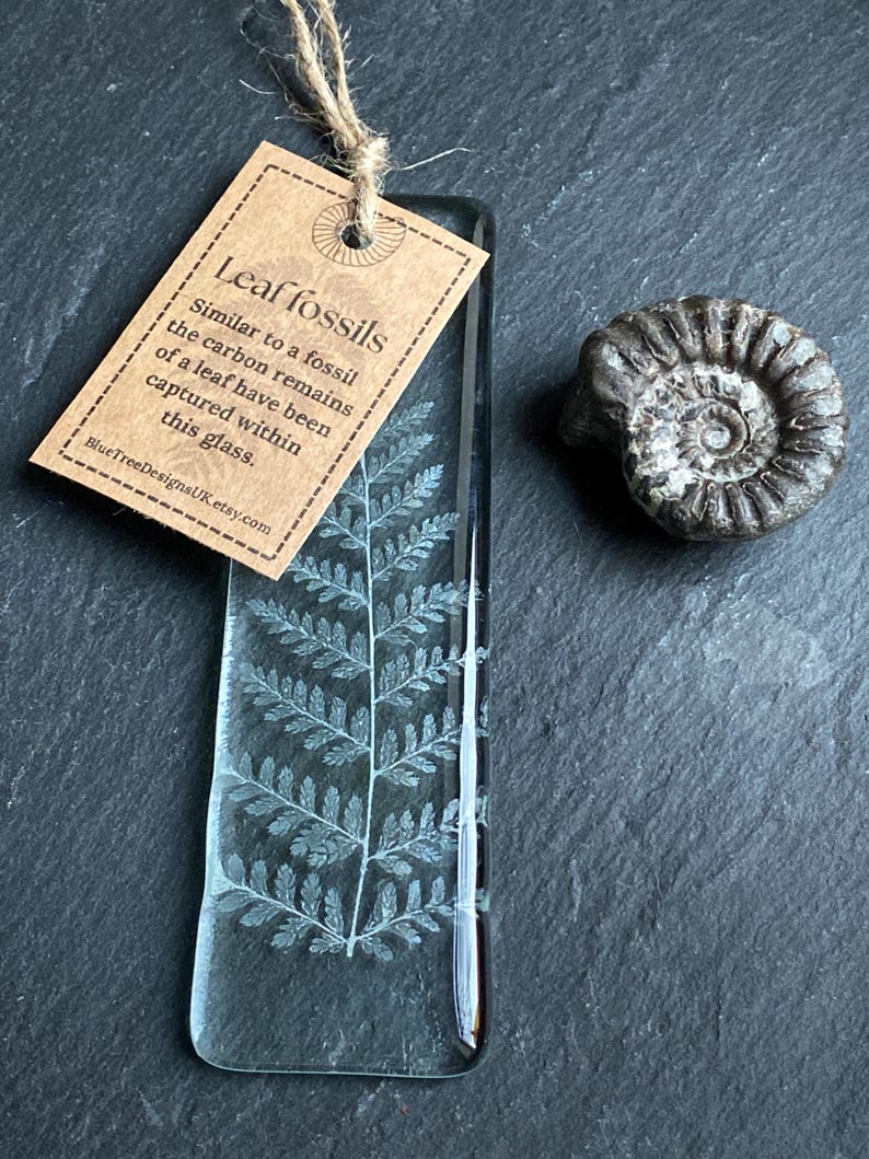 Fused Glass Leaf Fossil, Carbon Print - Etsy