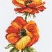 Anemone Digital Cross Stitch Pattern, - Etsy