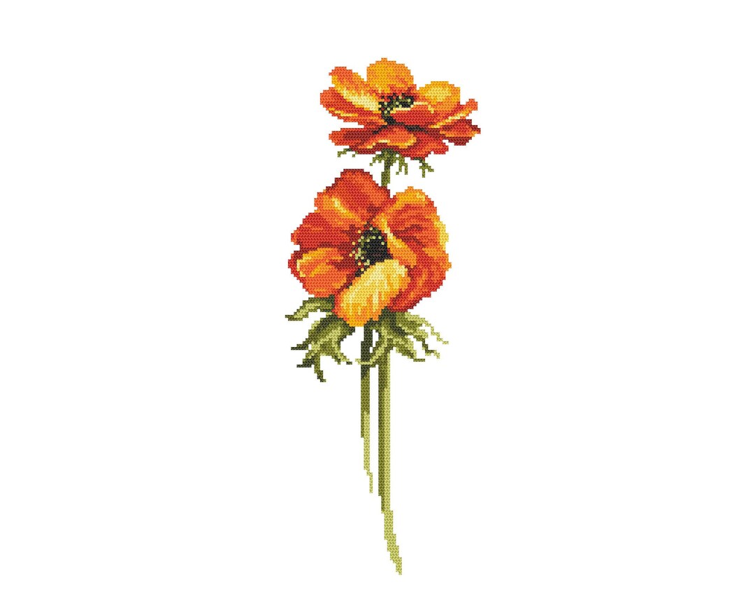 Anemone Digital Cross Stitch Pattern, - Etsy