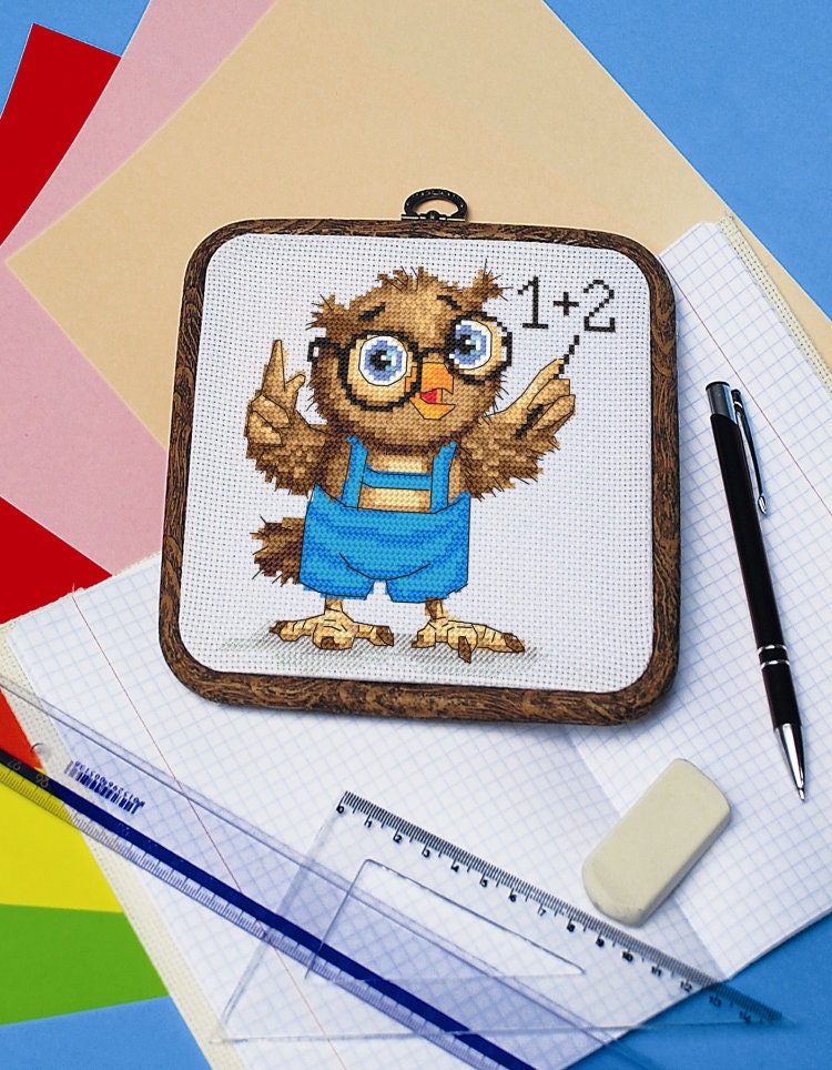 Small Owl Mathematician Modern Cross Stitch Pattern Pdf - Etsy