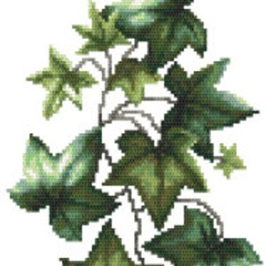 Ivy Digital Cross Stitch Pattern PDF - Etsy