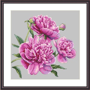 Peonies Digital Pattern Cross Stitch, PDF - Etsy