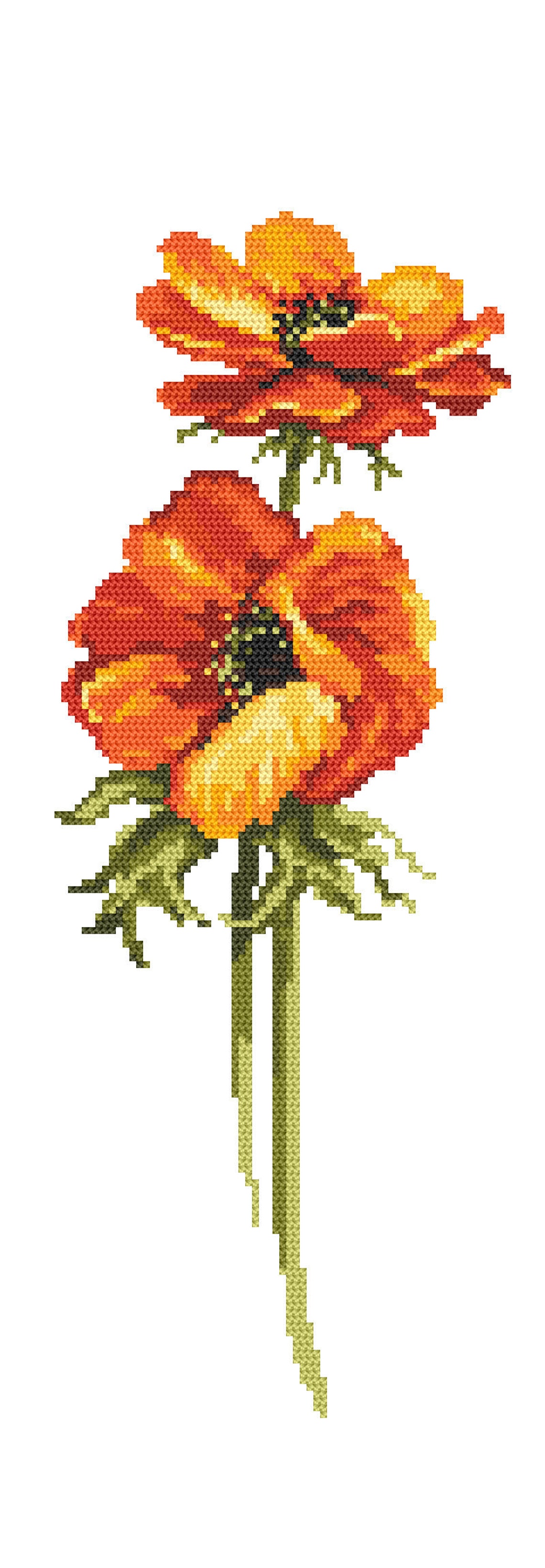 Anemone Digital Cross Stitch Pattern, - Etsy