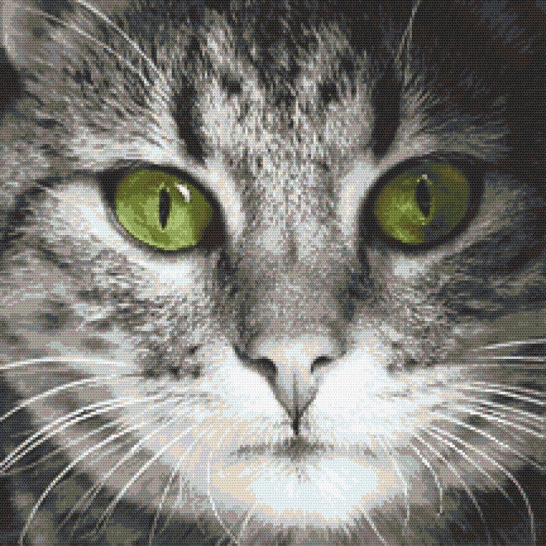 Focused Green-eyed Cat Digital PDF Gray Cat Pattern for - Etsy