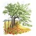 Secrets of an Old Oak Tree Digital Pattern for Cross Stitch , PDF ...