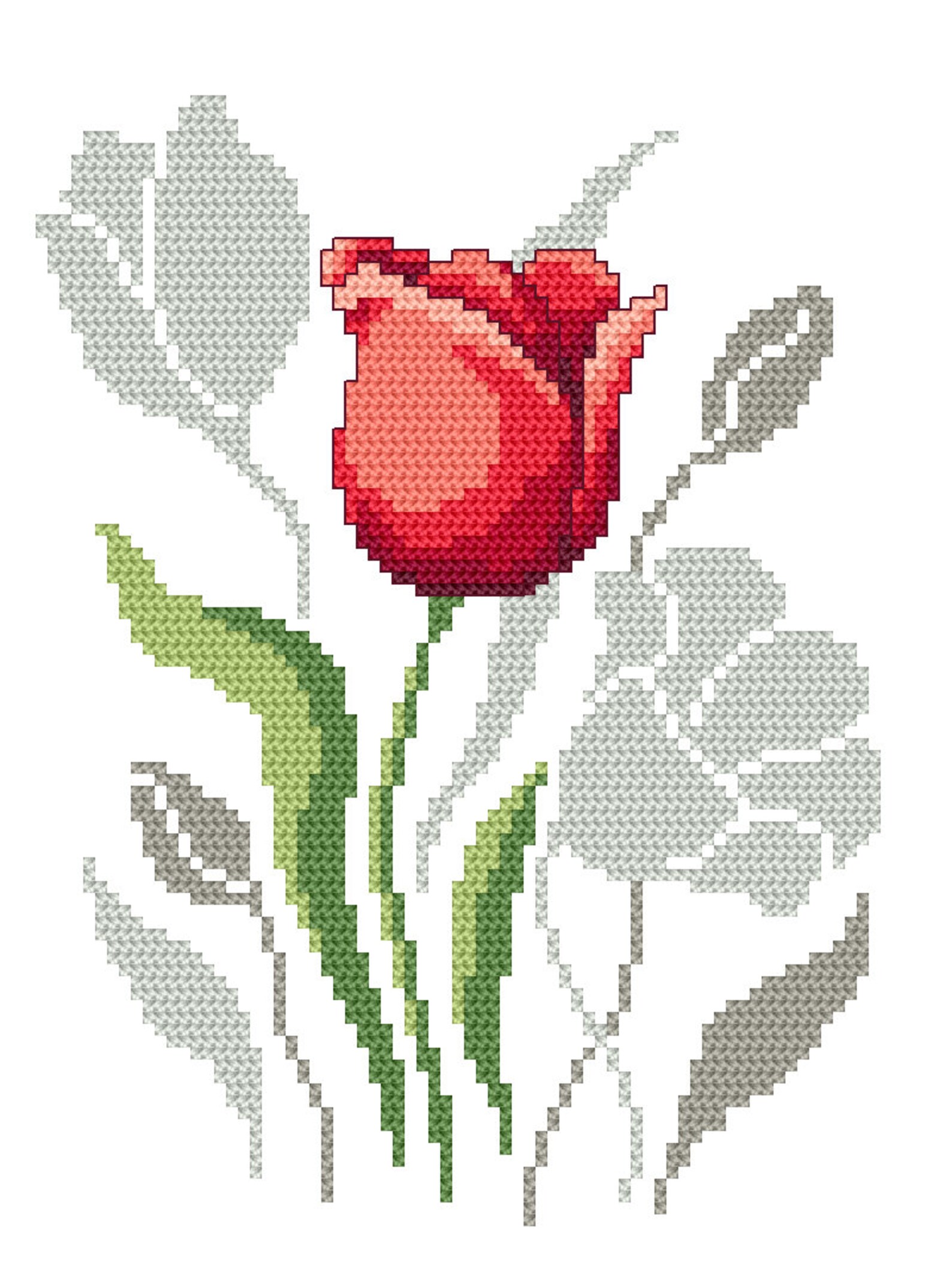 Spring Flowers Tulips Pattern for Cross Stitch Tulip With | Etsy