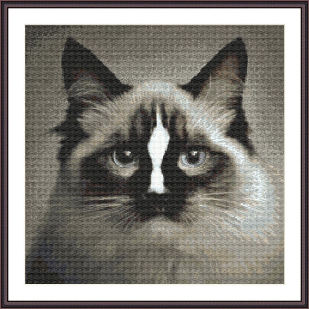 Cat Ragdoll Stitch Pattern Digital Pdf Just Like a Photo - Etsy