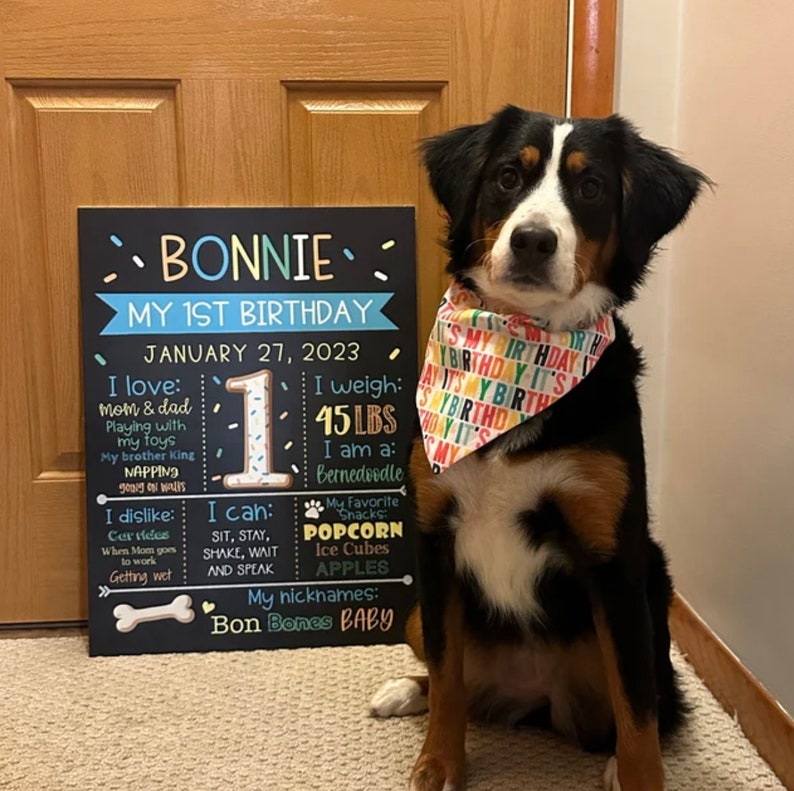 Dog First Birthday Sign Puppy 1st Birthday Poster Puppy - Etsy