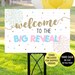 Drake or Hen Gender Reveal Sign, Drake Hen Reveal Welcome Sign, Hunting ...
