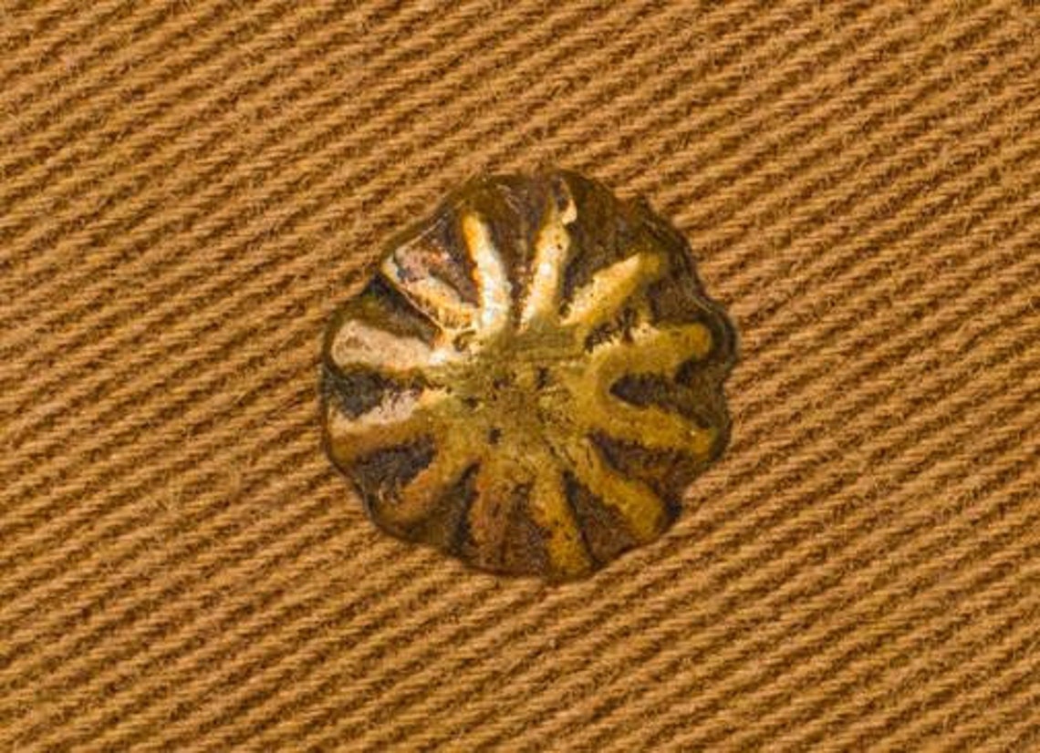 Round Belt Mount - (split Rivet Back) - B-46 - Etsy