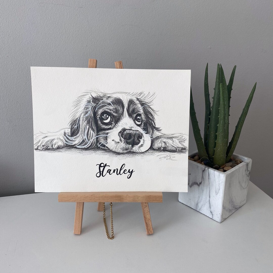 Pencil Pet Portrait, Pet Portrait Sketch, Pencil Sketch Portrait, Pet ...