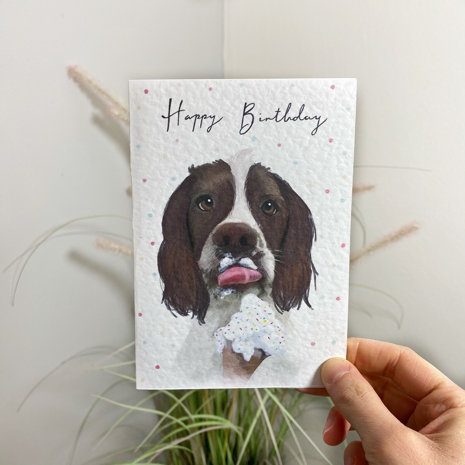 Springer Spaniel Birthday Card Spaniel Birthday Card | Etsy