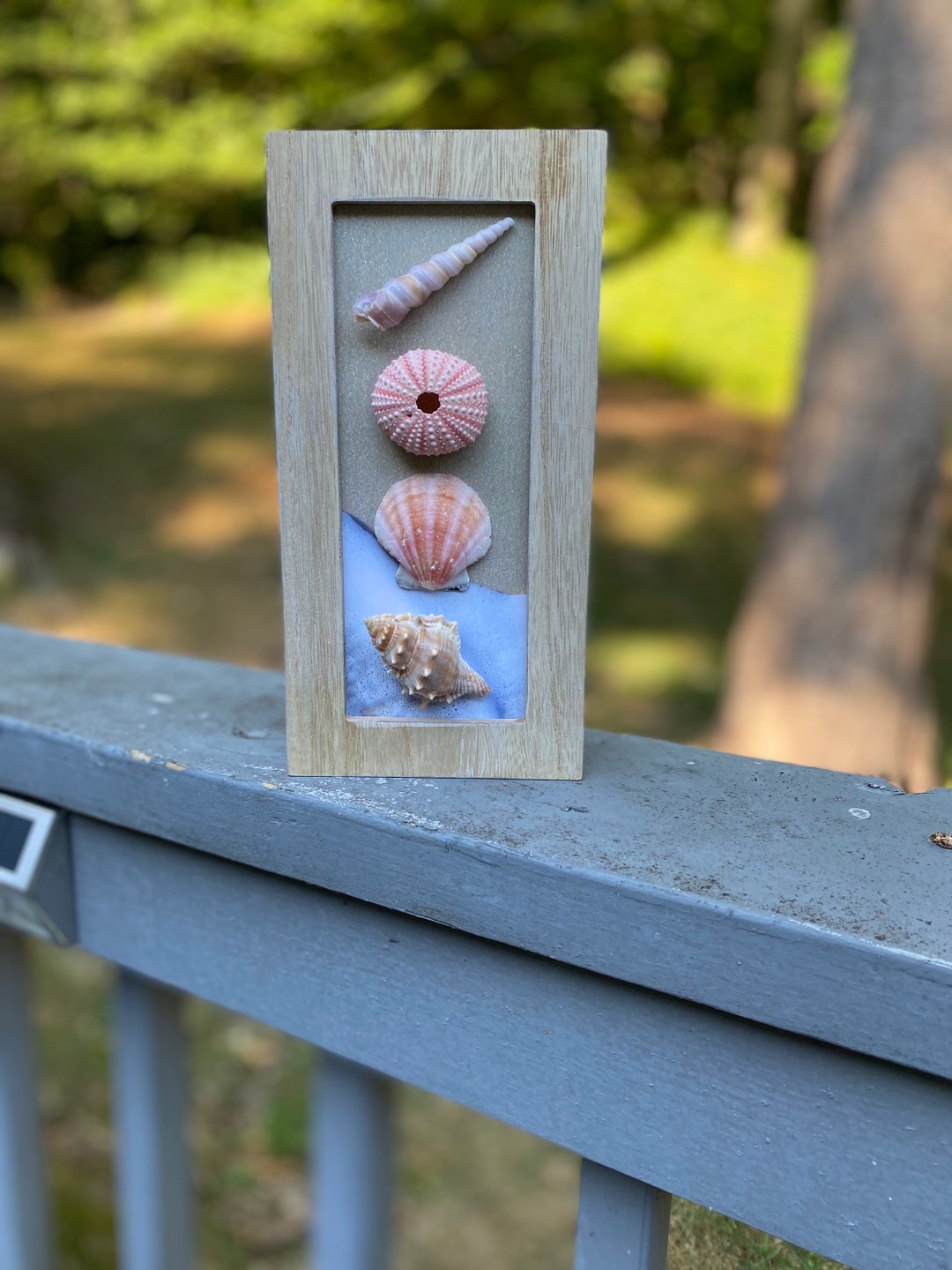 3D Sea Urchin Wall Decor Seashell Art - Etsy