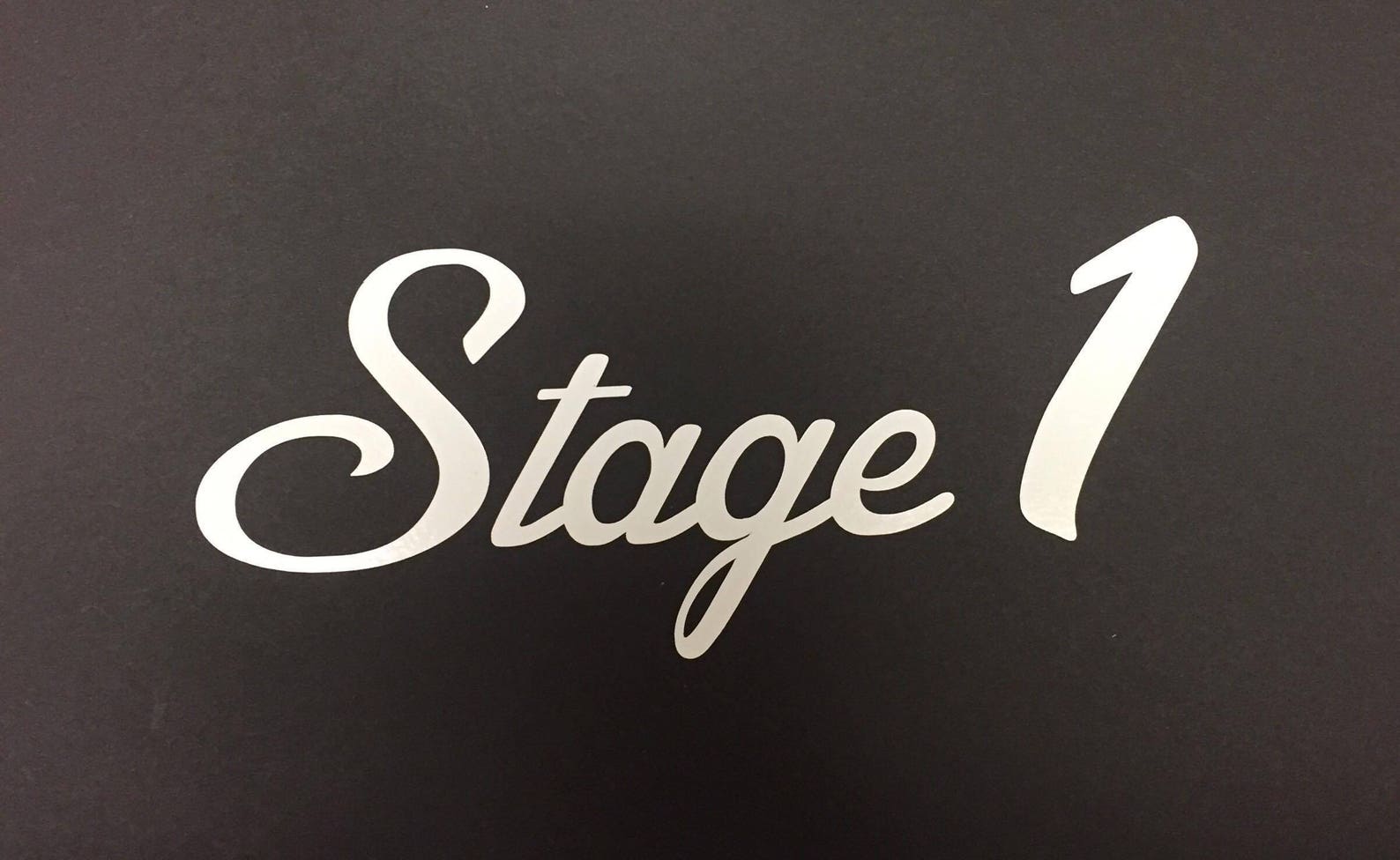 Stage 1 Sticker Vinyl Decal Stage One - Etsy