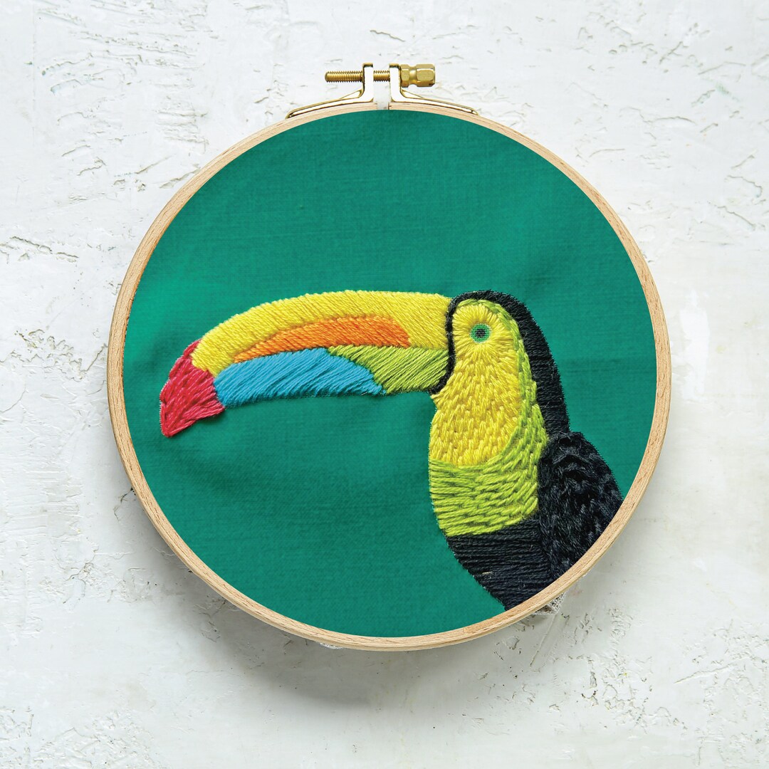 Keel Billed Toucan | Embroidery Kit - Etsy