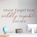 Never Forget How Wildly Capable You Are - Wall Decal - Mirror Decal ...