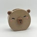 Mini Capybara Ceramic Handmade Vase - Etsy