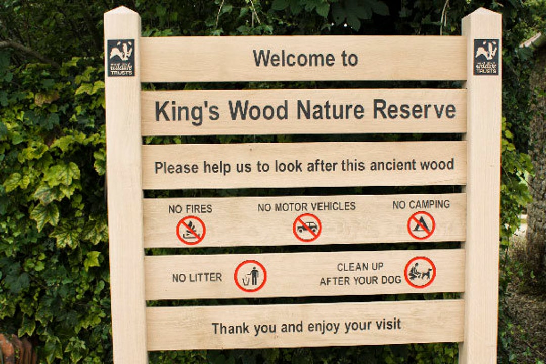 Large Oak Engraved 6 Rung Ladder Sign 600mm House, Business, Site ...
