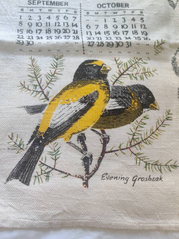 Dishcloths & Kitchen Towels bird themed design by Gene Klebe Vintage ...