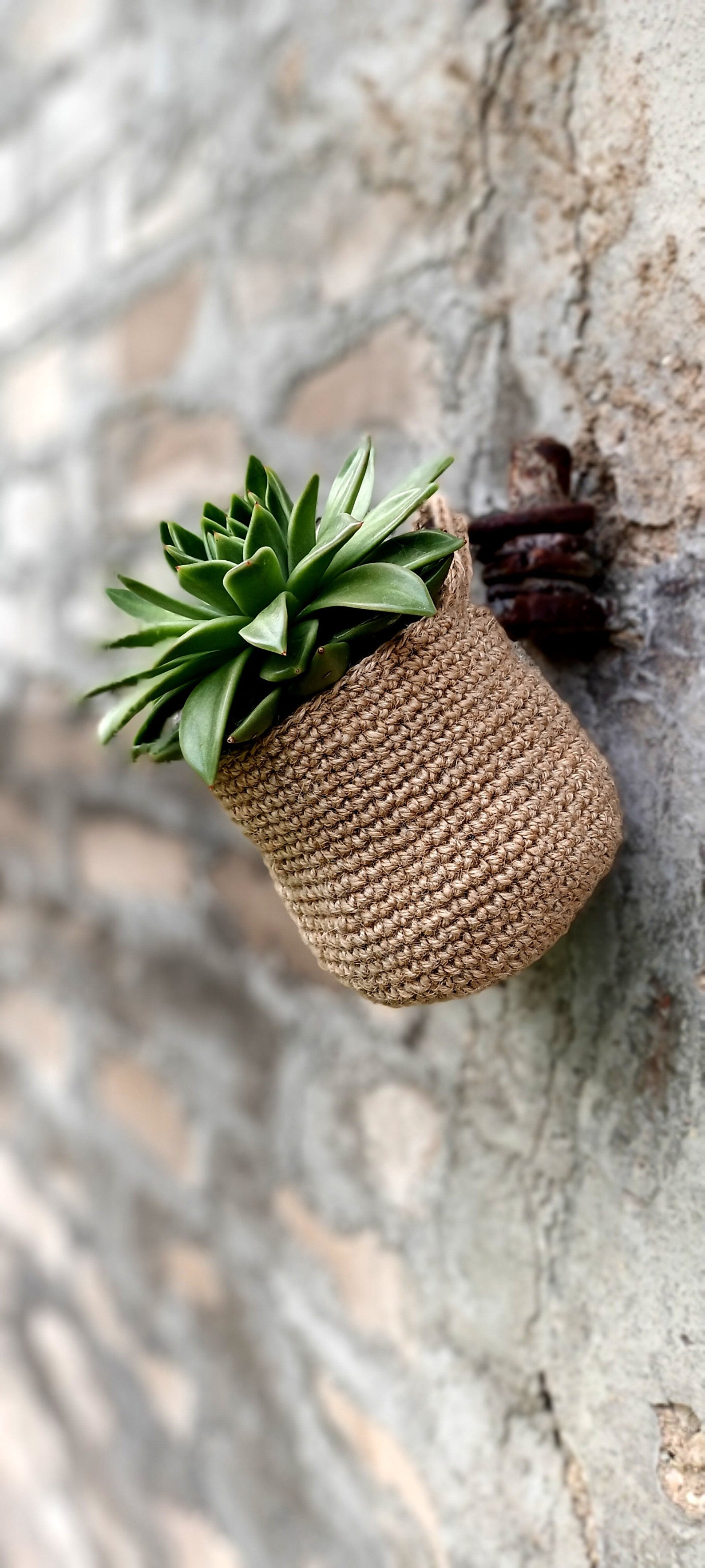 Jute Hanging Basket Crochet Hanging Planter Eco Friendly - Etsy