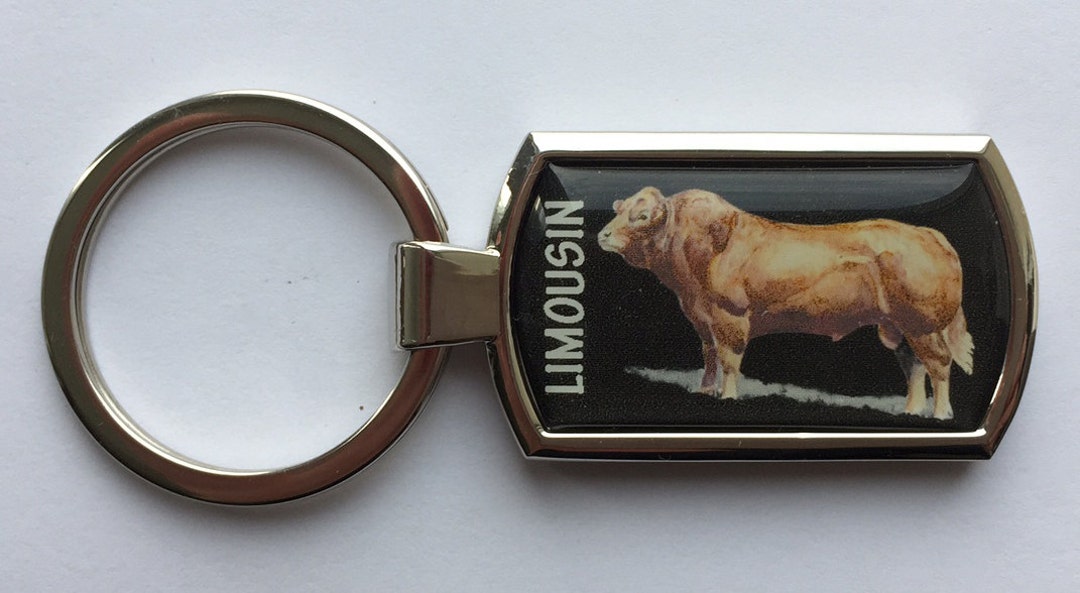 Limousin Bull Keyring - Etsy