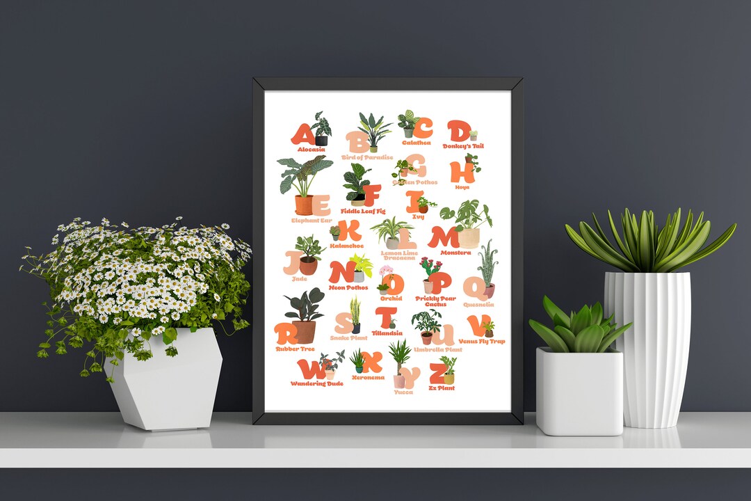 Houseplant Alphabet Print, Wall Art, Home Decor, 8x10, 5x7, Art Print ...