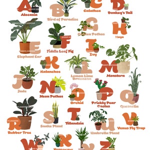 Houseplant Alphabet Print, Wall Art, Home Decor, 8x10, 5x7, Art Print ...