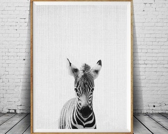 Zebra print | Etsy