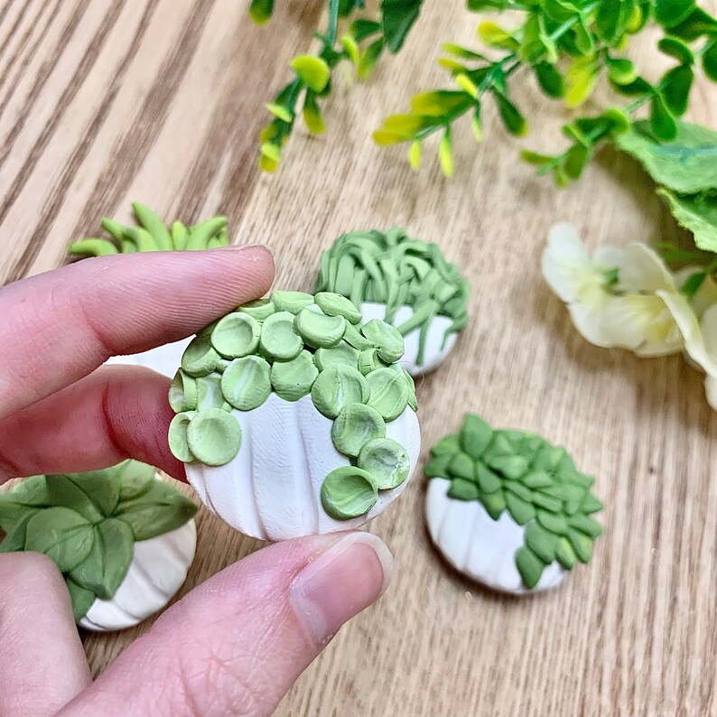 Plant Lover Fridge Magnets Succulent Green Greenery Plant | Etsy
