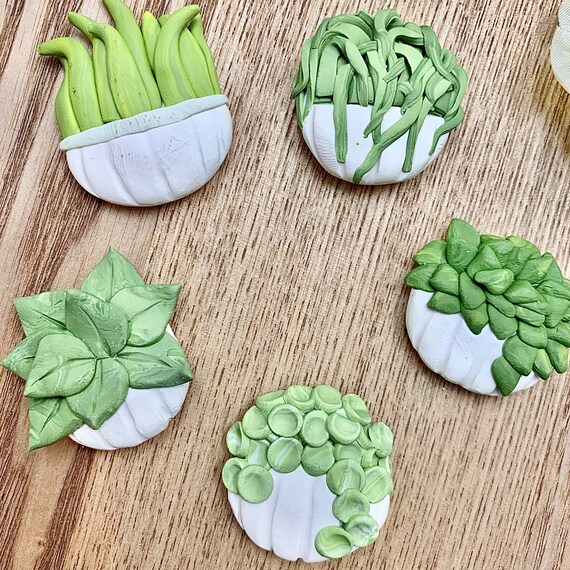 Plant Lover Fridge Magnets Succulent Green Greenery Plant | Etsy