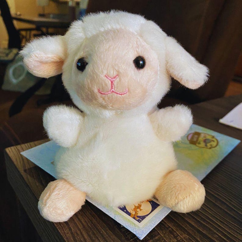 Custom Plush Voice Recorder Keepsake – Teddy Bears, & More, 4x5" Soft ...