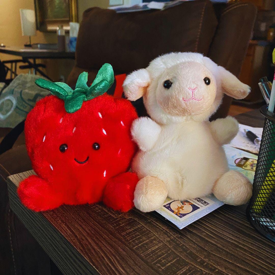 Custom Plush Voice Recorder Keepsake – Teddy Bears, & More, 4x5" Soft ...