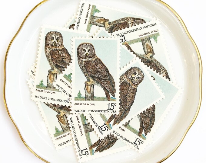 Owl Postage Stamp for Snail Mail Letters and Penpals // Vintage 1970s ...