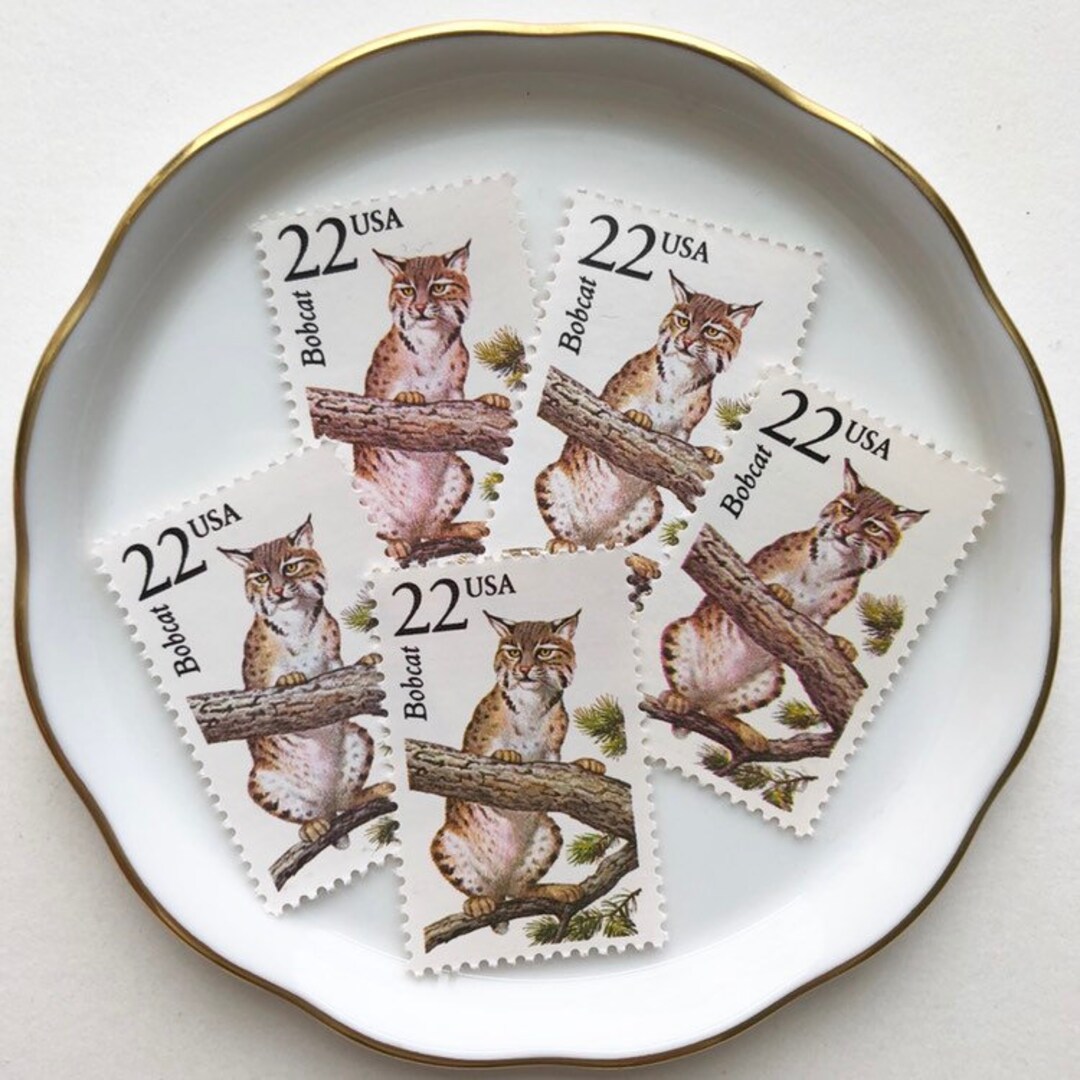 Bobcat Postage Stamp for Snail Mail Letters and Penpals // Vintage ...