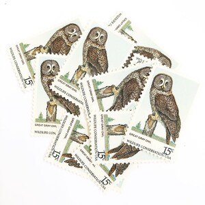Owl Postage Stamp for Snail Mail Letters and Penpals // Vintage 1970s ...