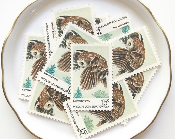 Owl Postage Stamp for Snail Mail Letters and Penpals // - Etsy