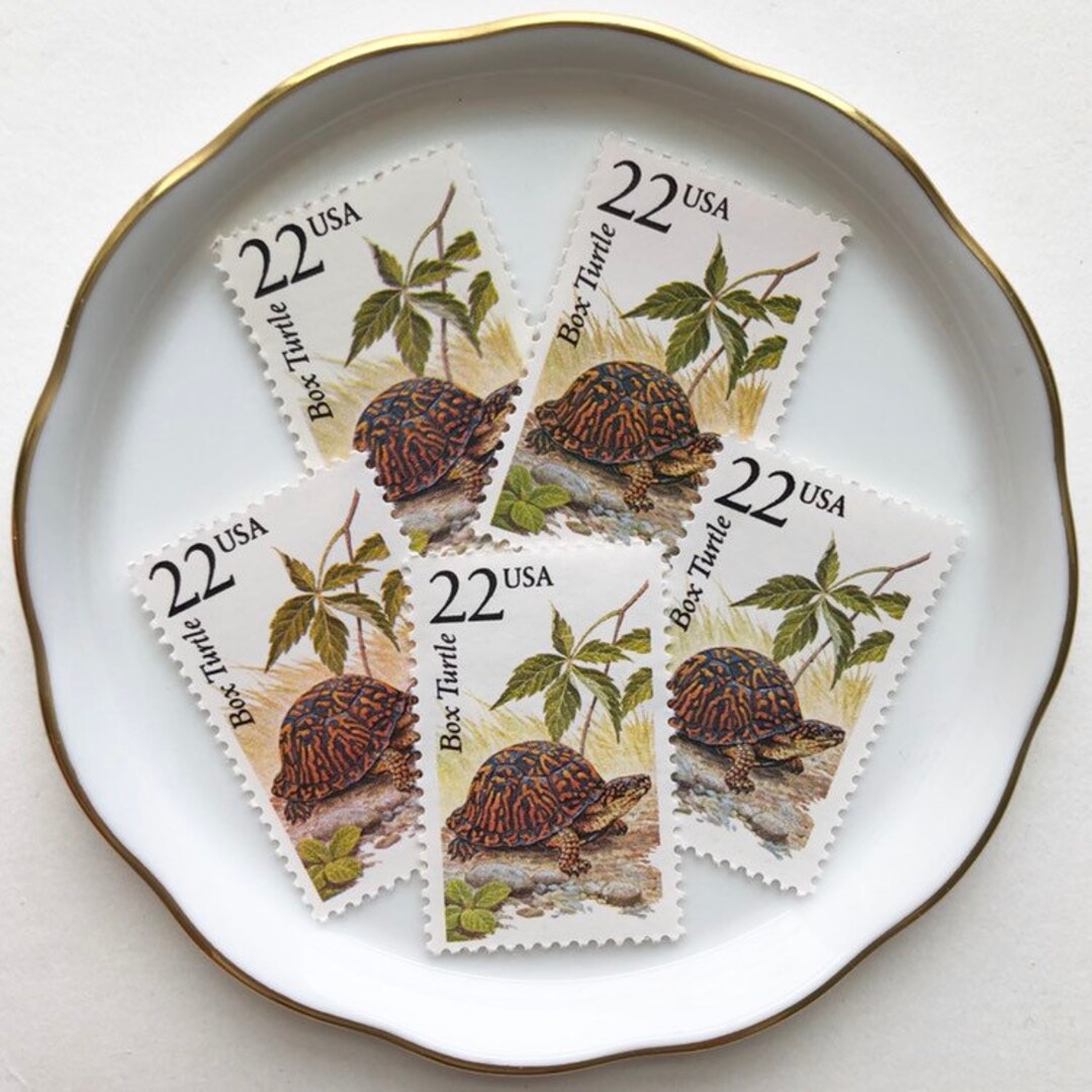 Turtle Postage Stamp for Snail Mail Letters and Penpals // Vintage ...