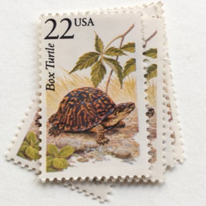 Turtle Postage Stamp for Snail Mail Letters and Penpals // Vintage ...