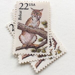 Bobcat Postage Stamp for Snail Mail Letters and Penpals // Vintage ...
