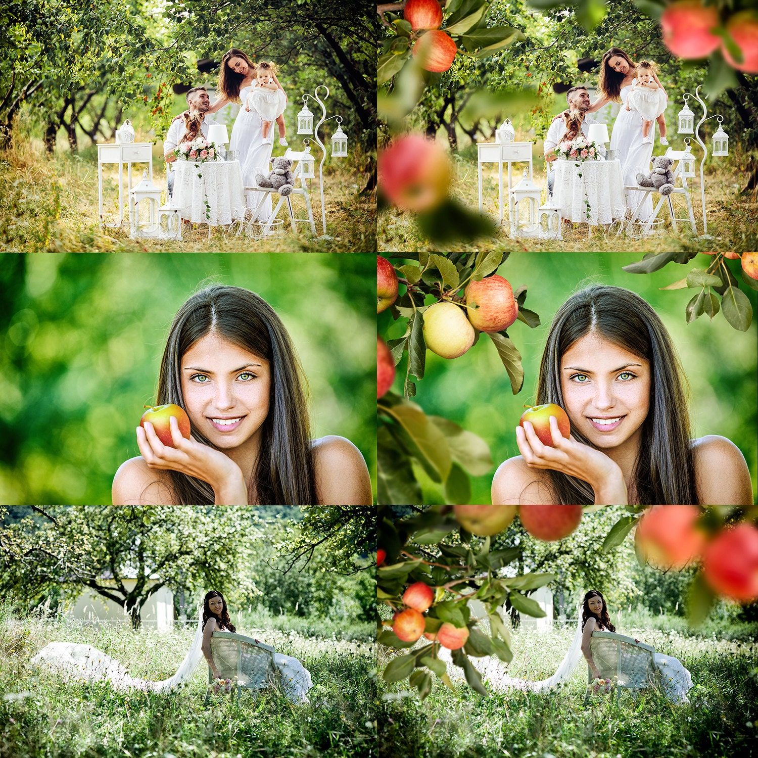 34 Red Apples Branch Photoshop Overlays, Apple Tree Fruits Branch and ...