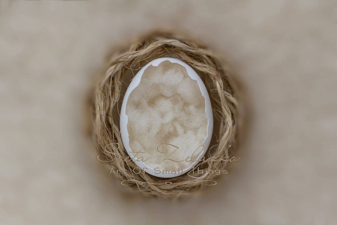 Egg Digital Backdrop, Egg Newborn Backdrop, Egg Digital Background, Egg ...