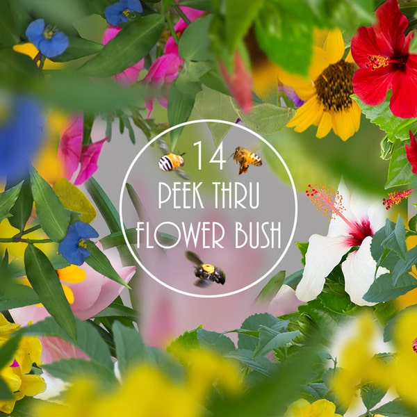 Greenery Photoshop Overlay - Etsy