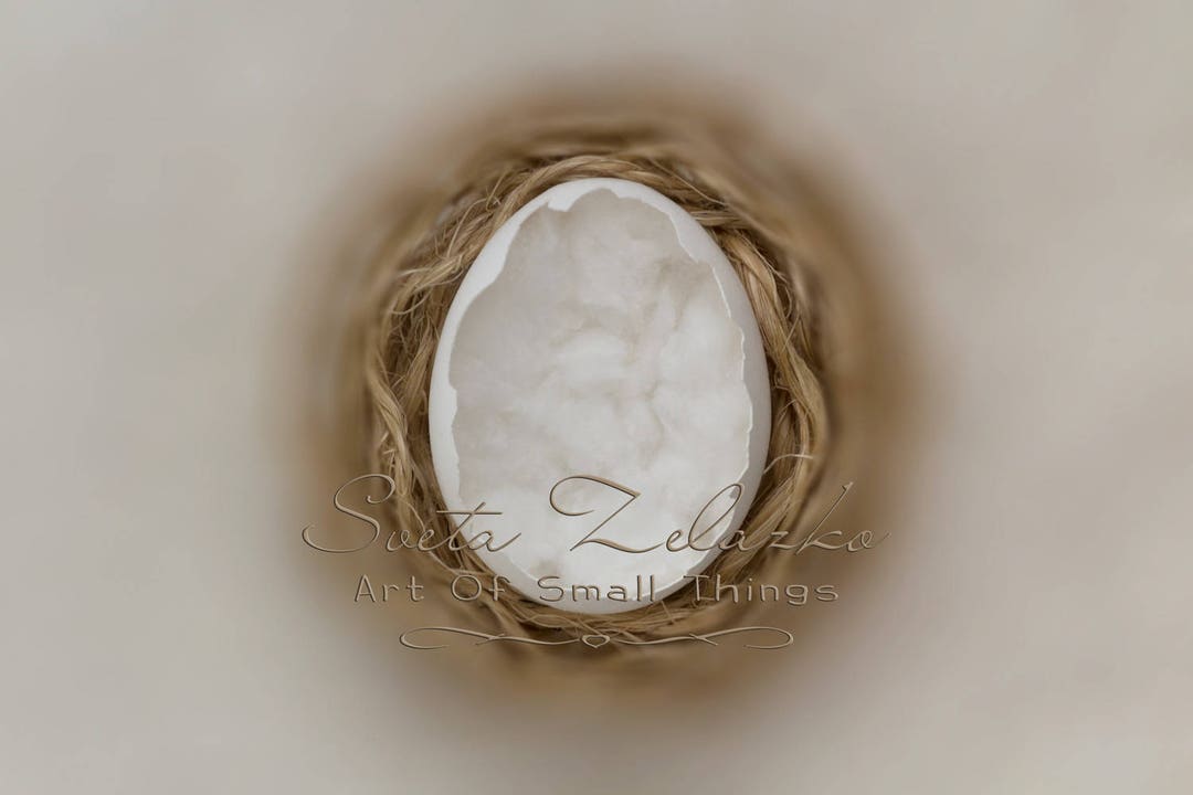 Egg Newborn Backdrop, Egg Digital Backdrop, Egg Digital Background, Egg ...