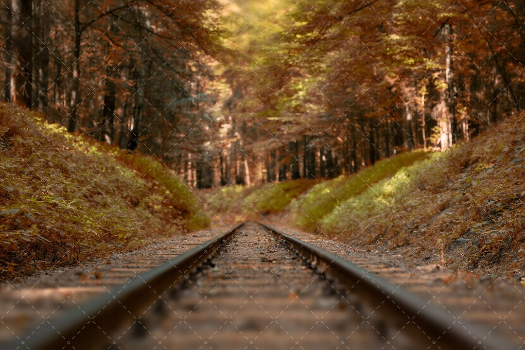 Railroad Digital Background, Train Tracks Background, Forest Railroad ...