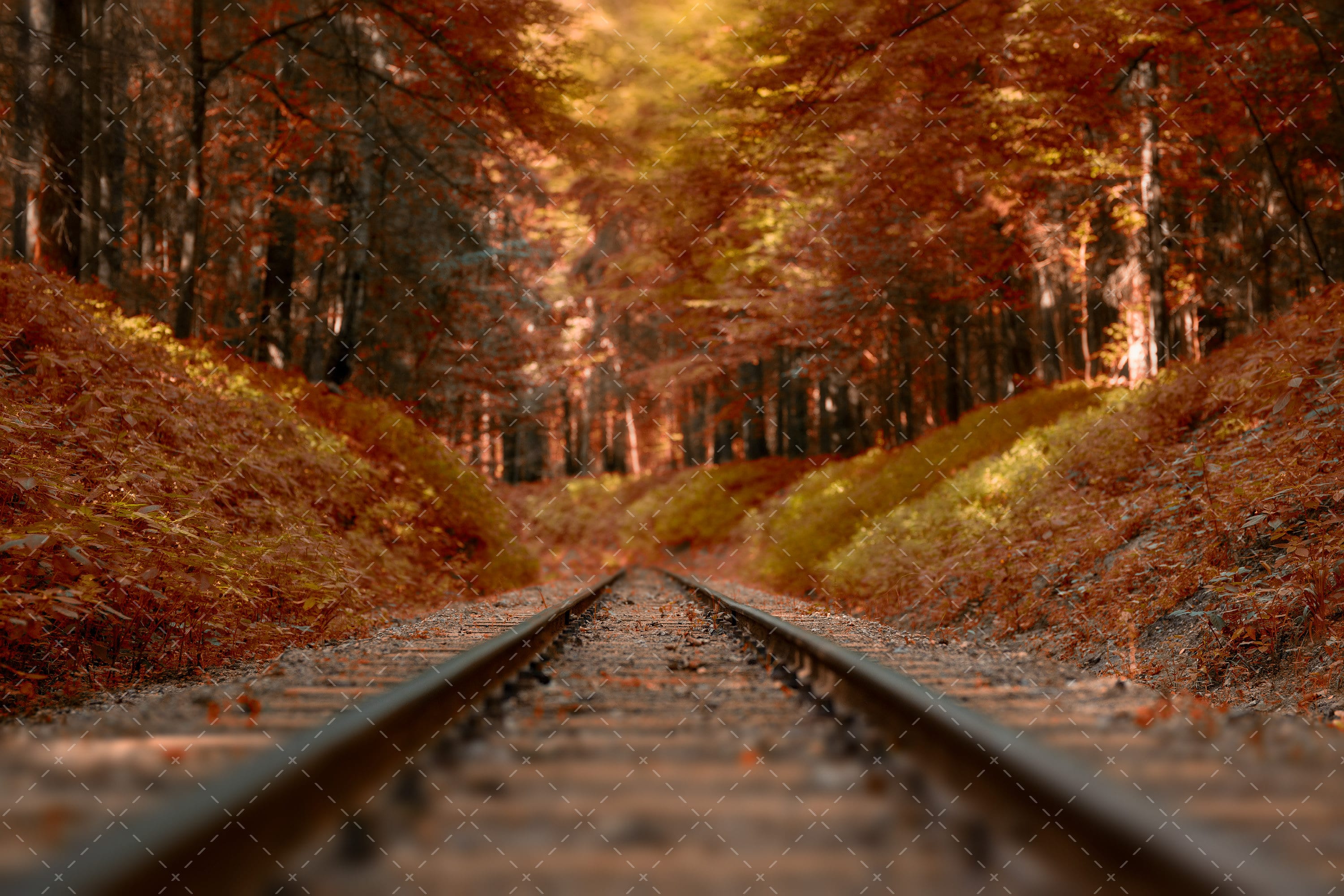 Railroad Digital Background, Train Tracks Background, Forest Railroad ...